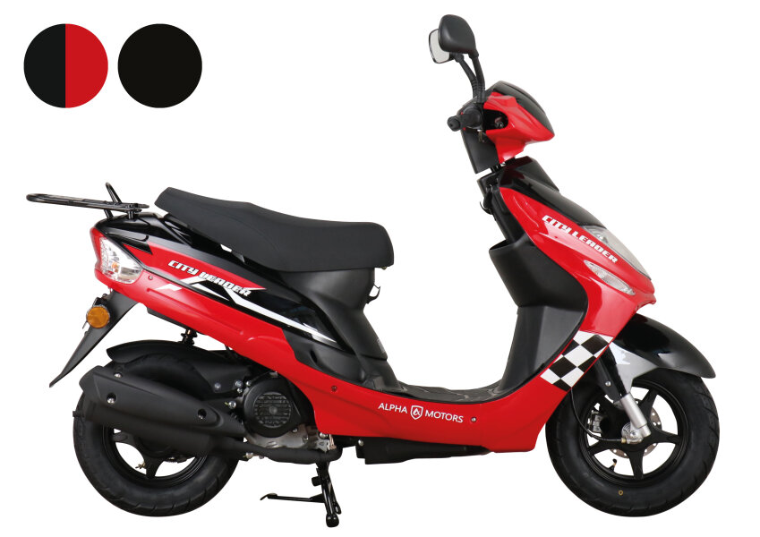 Motorroller und Elektroroller mit 25 km/h